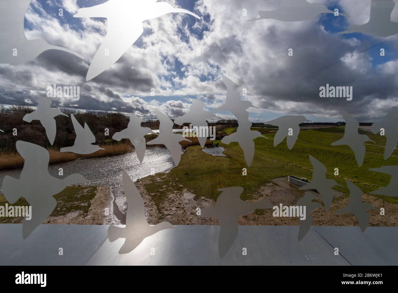 Estuary tower hide slimbridge hi-res stock photography and images - Alamy