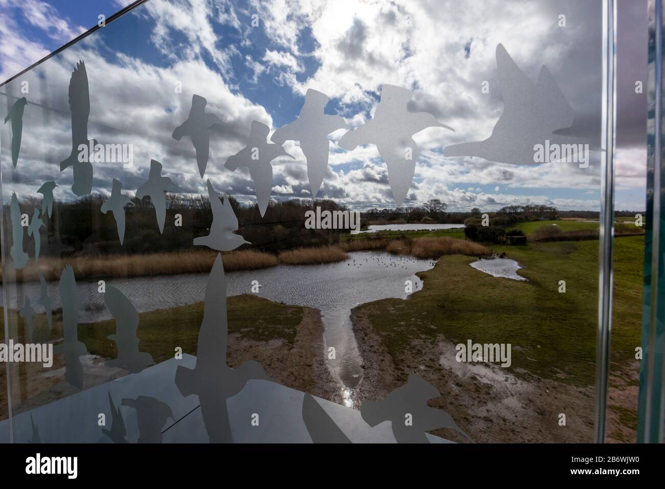 Estuary tower hide slimbridge hi-res stock photography and images - Alamy