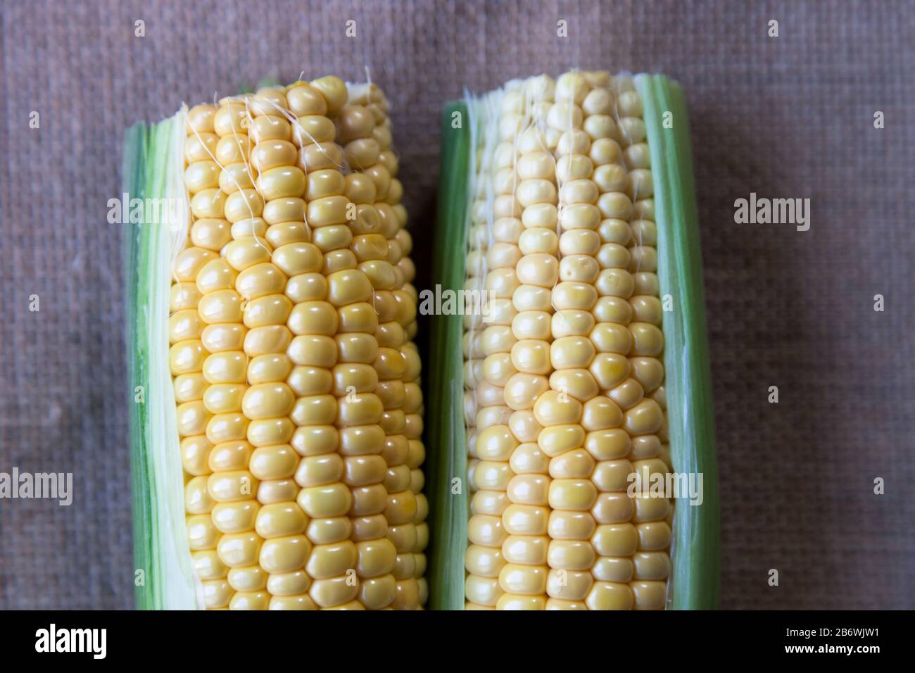Fresh corn fruits with green leaves isolated .,An ear of corn isolated ...