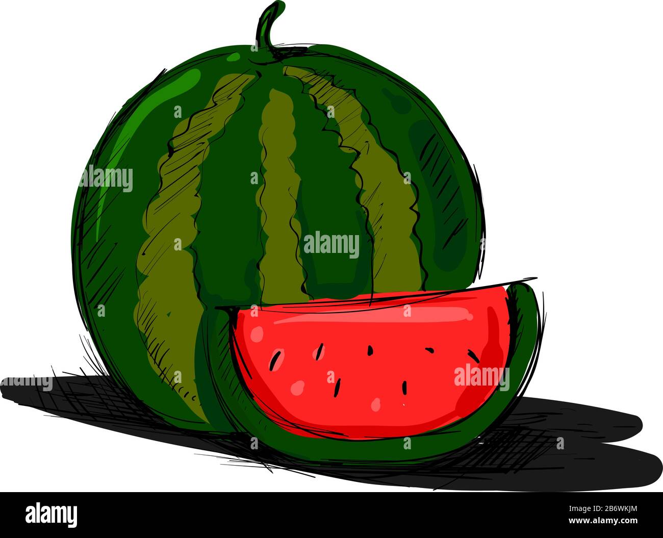 Watermelon drawing, illustration, vector on white background Stock ...