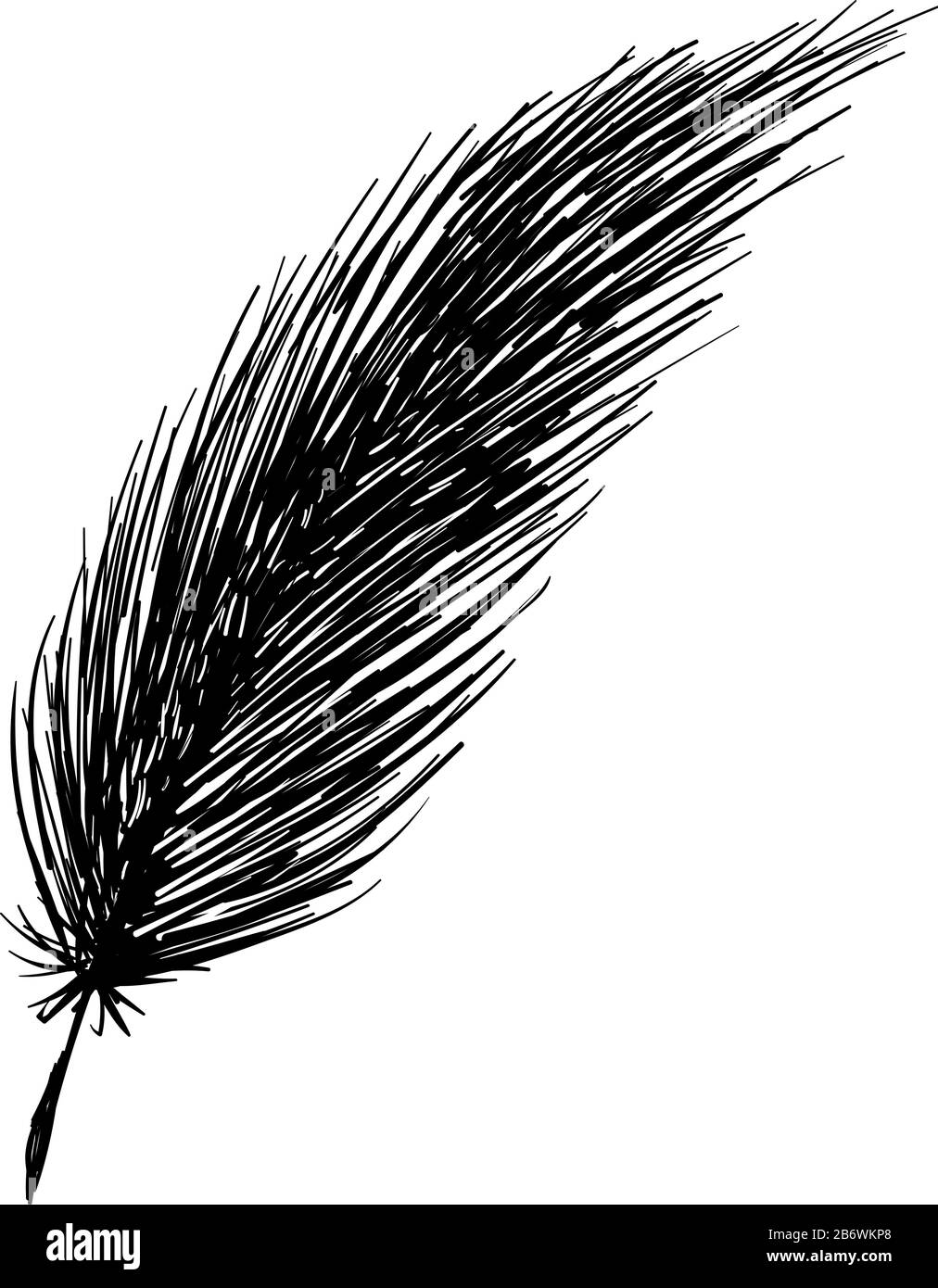 Vector illustration black realistic Black and White Stock Photos ...