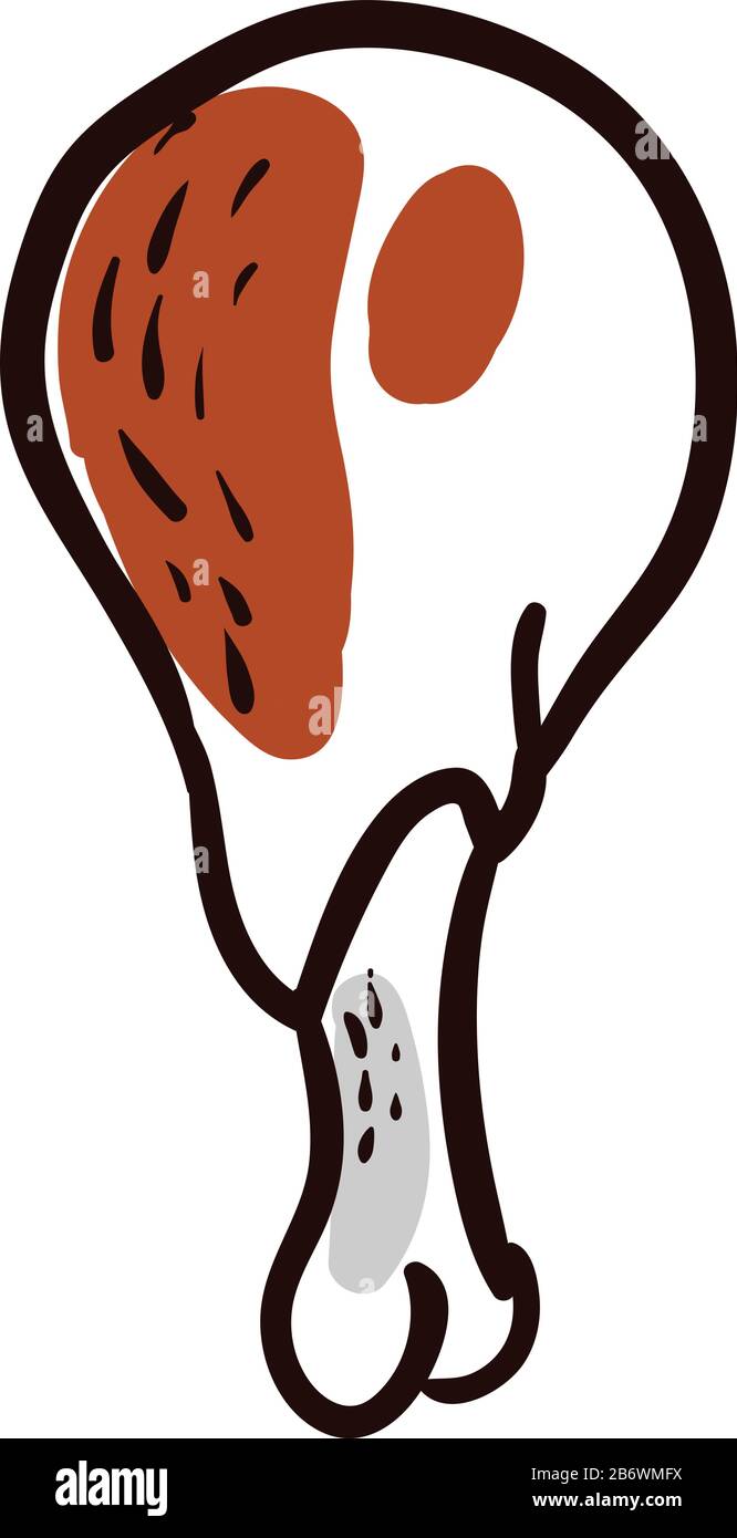 Chicken leg drawing, illustration, vector on white background Stock ...