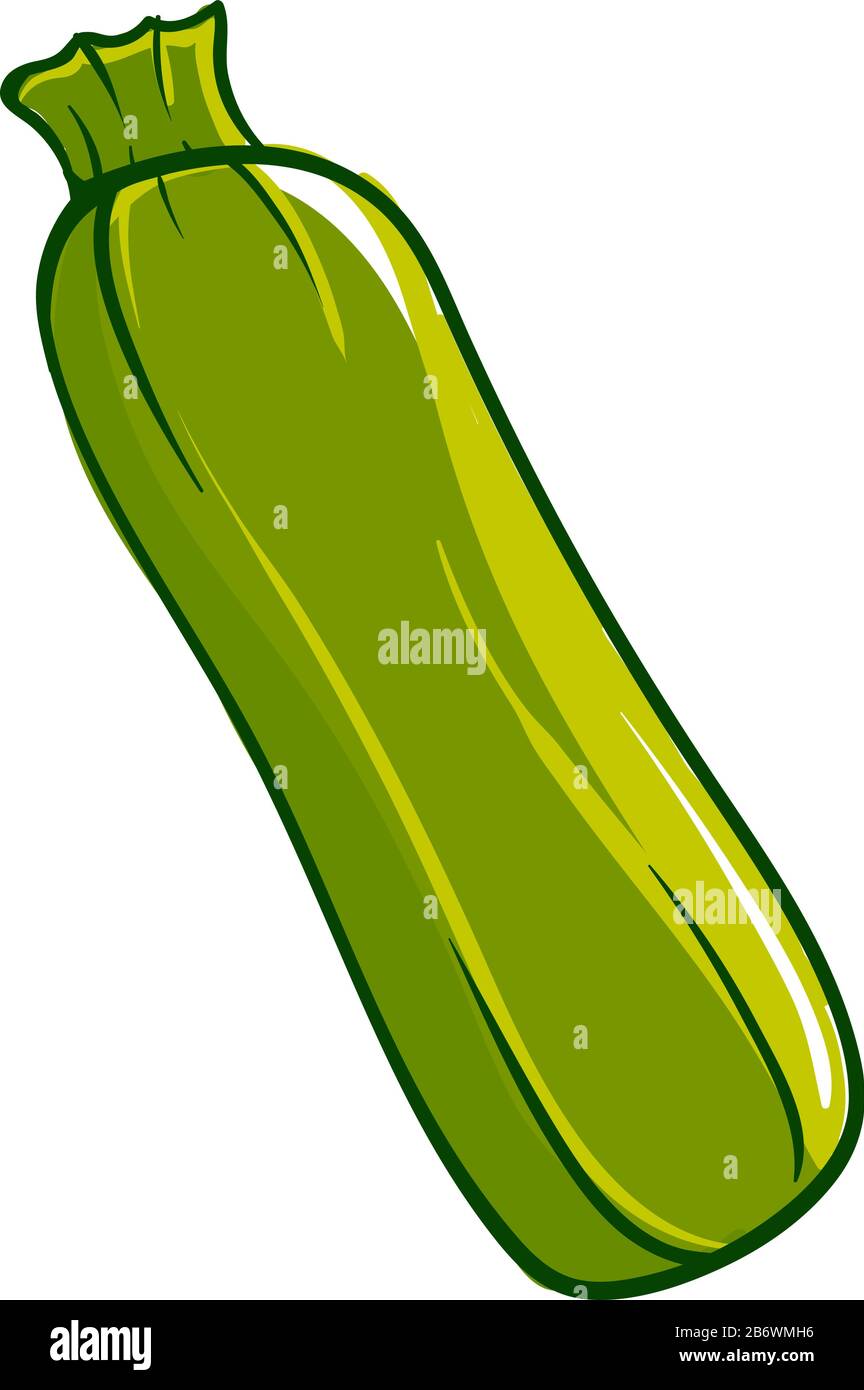 Zucchini plant on farm Stock Vector Images - Alamy