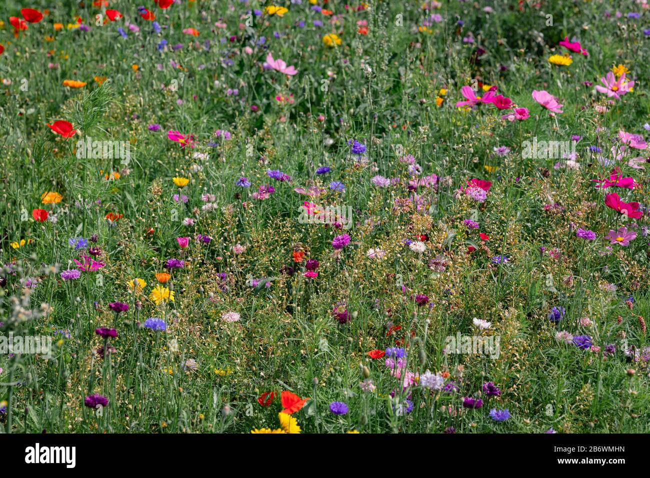 Beautiful wide shot rural hi-res stock photography and images - Alamy