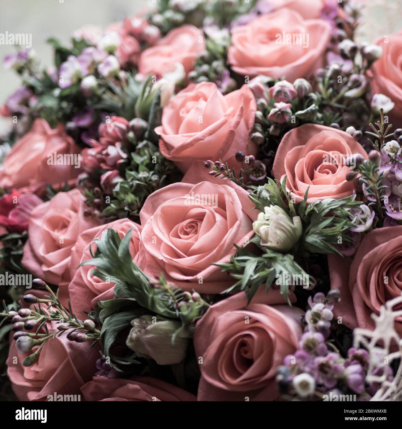 Beautiful cream color roses flowers bouquet, romantic relationship and ...