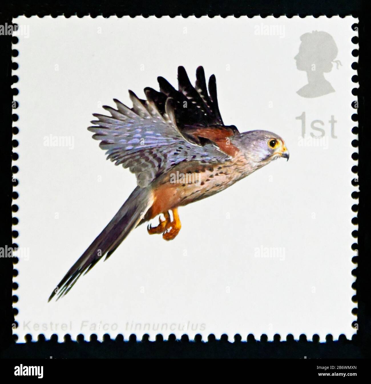 Postage stamp. Great Britain. Queen Elizabeth II. Birds of Prey ...
