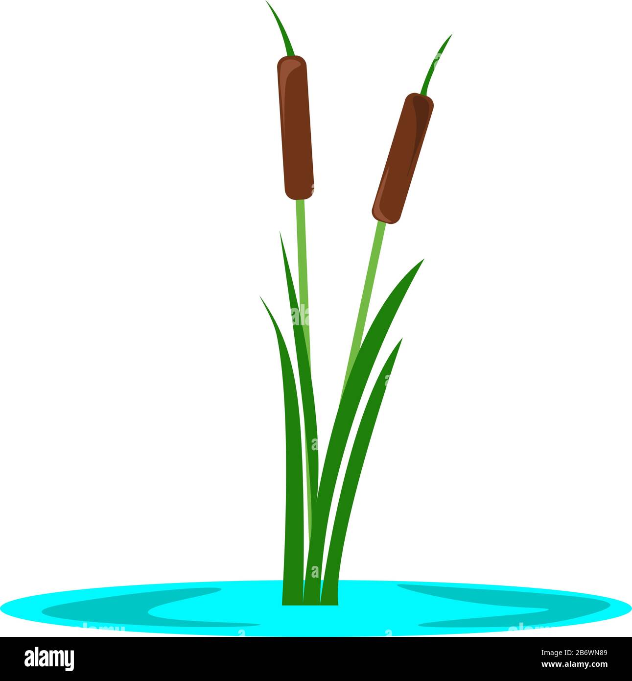 Cattail, illustration, vector on white background Stock Vector Image ...