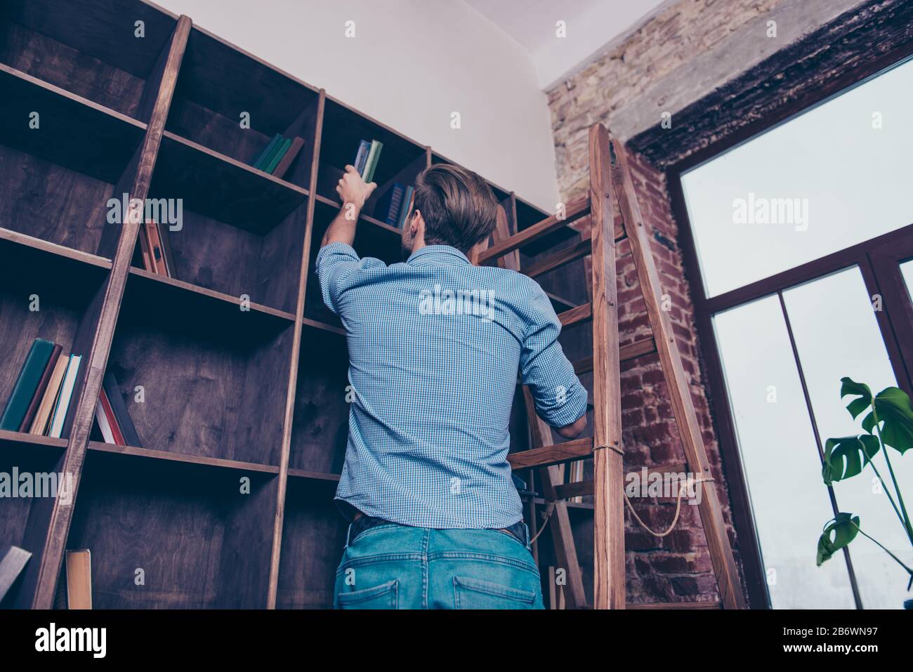 Rear view of man standing on stepladder and searching book in library ...