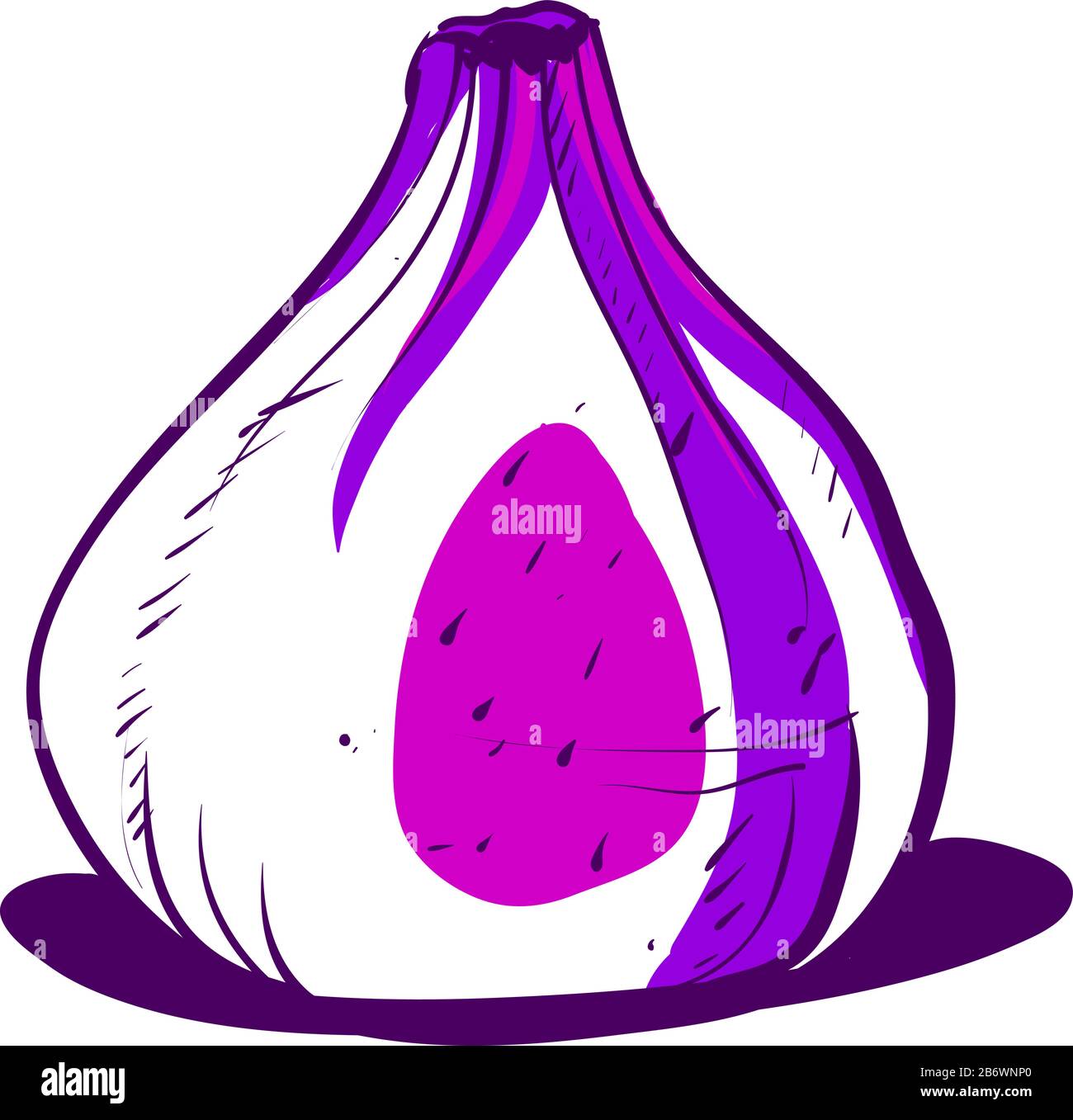 Drawing fig Cut Out Stock Images & Pictures - Alamy