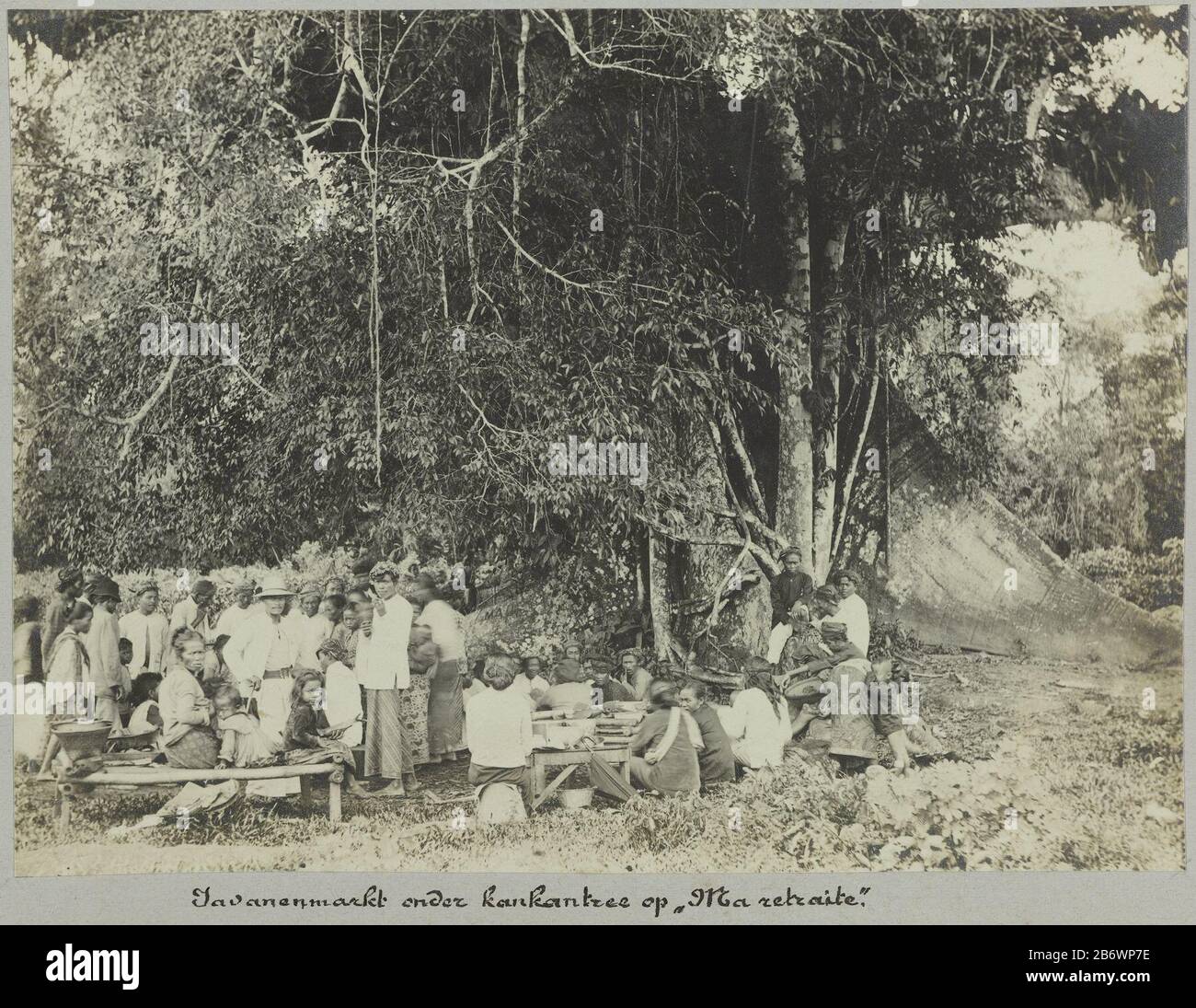 Javanese market under kankantree hi-res stock photography and images ...