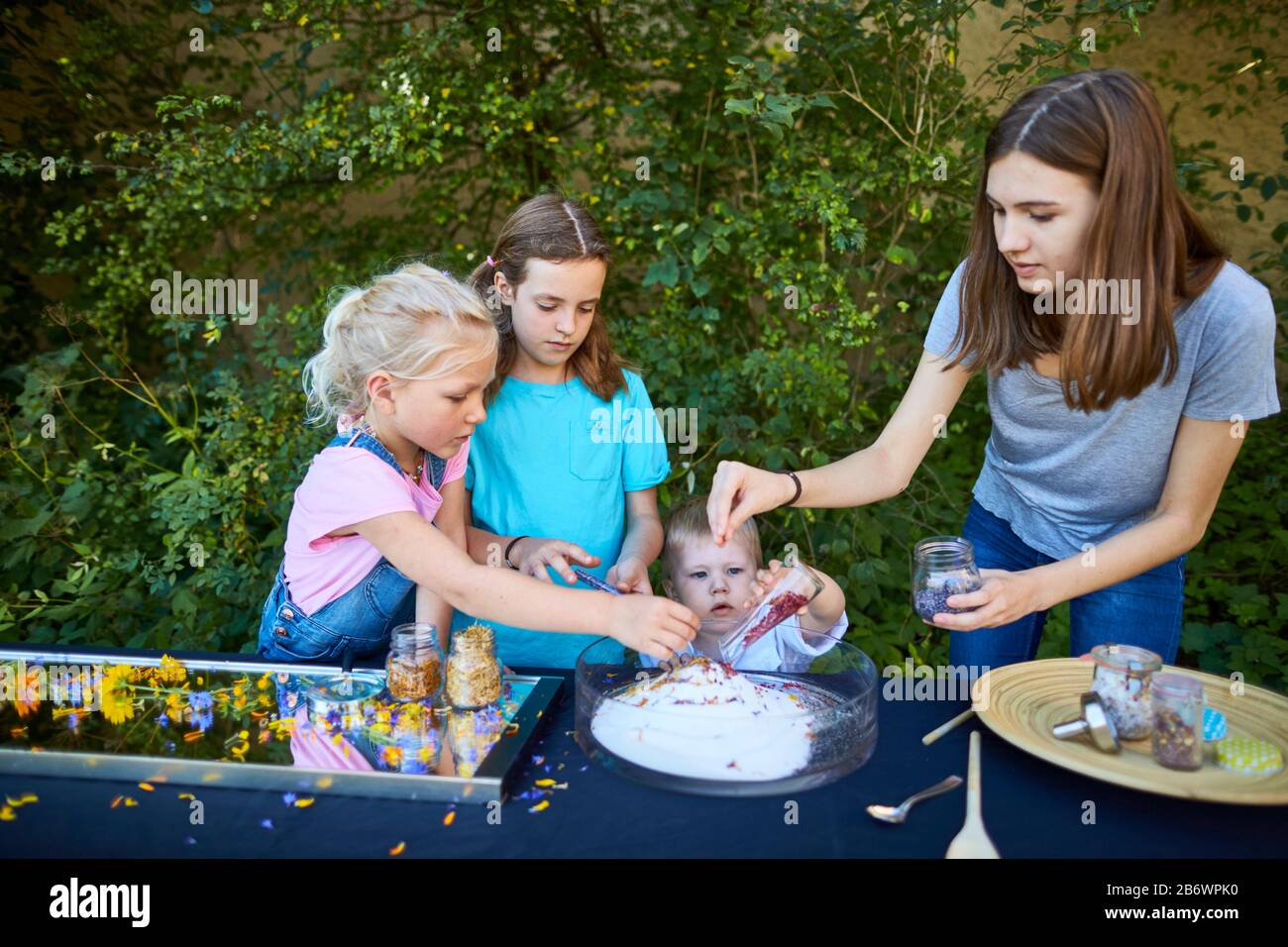 Children investigating food. Series: Preparation of flower sugar ...