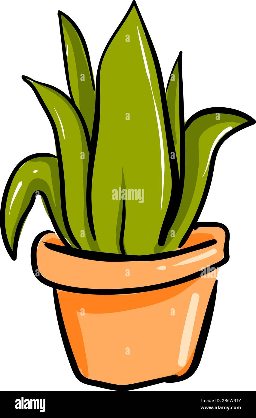 Plant in orange pot, illustration, vector on white background Stock ...