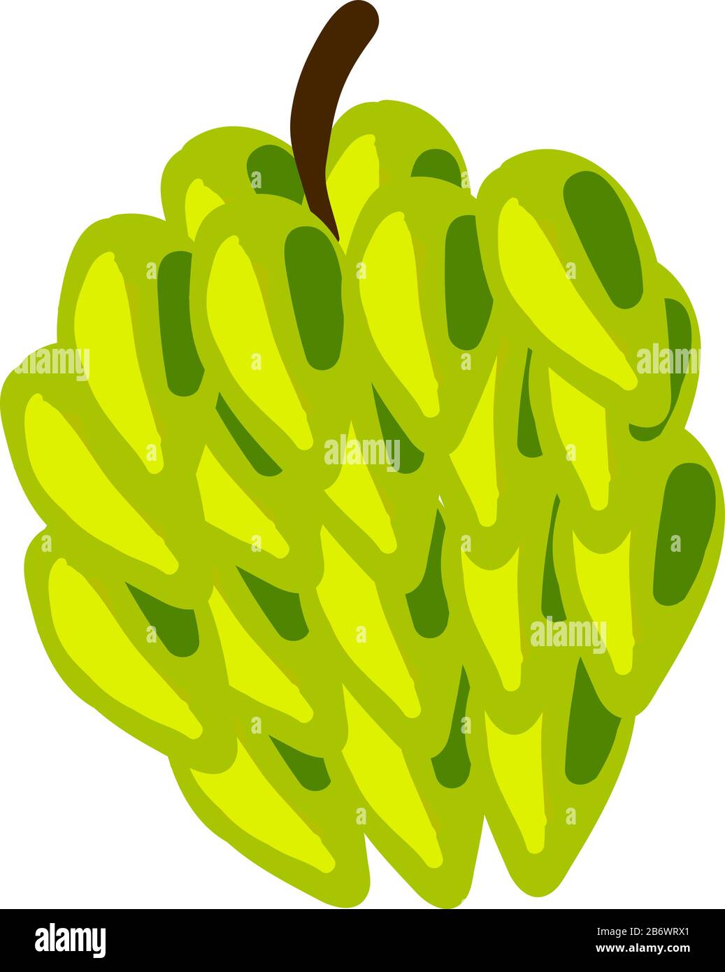 Green fresh cherimoya, illustration, vector on white background Stock ...