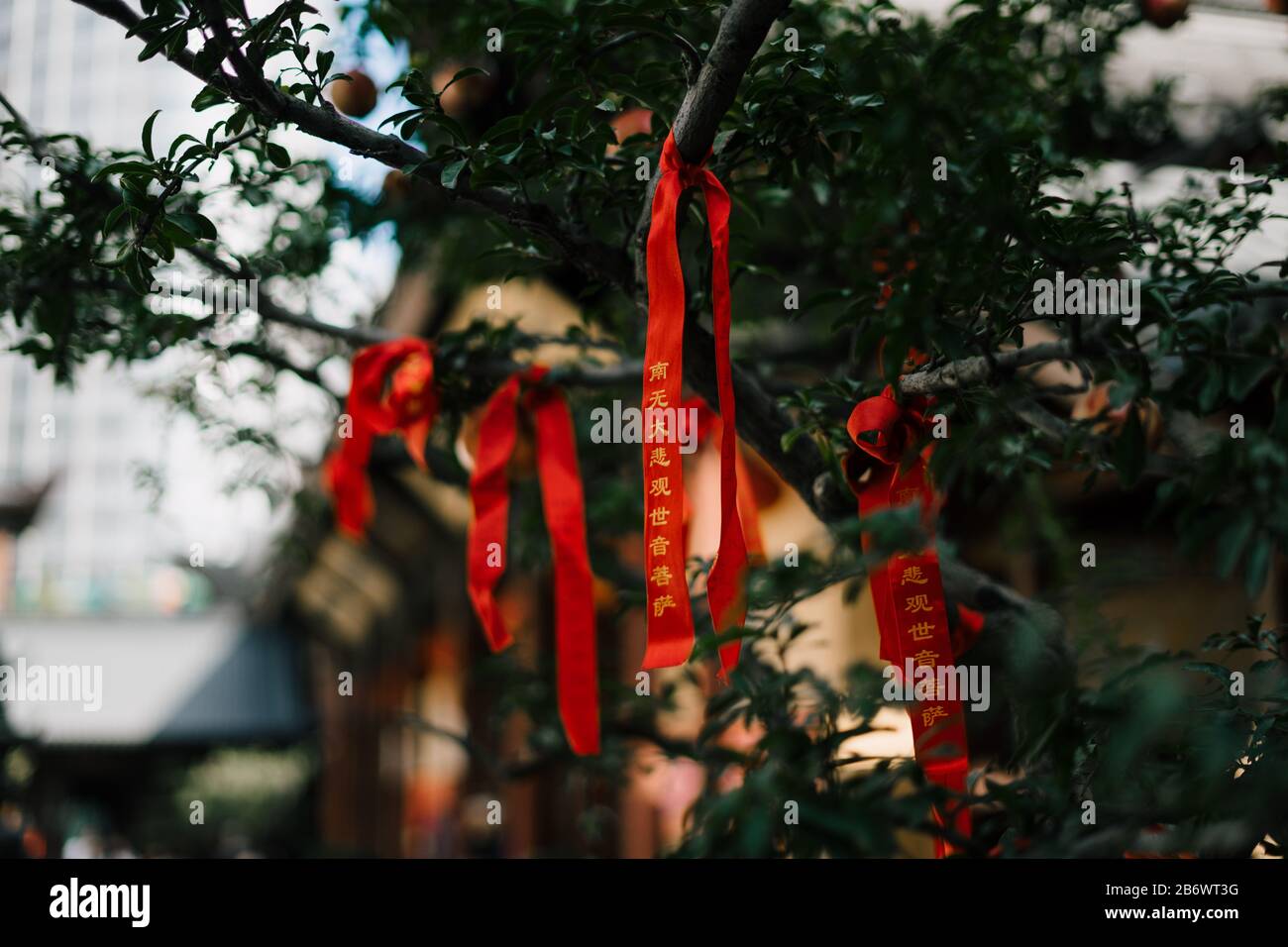 Chinese lettering hi-res stock photography and images - Alamy