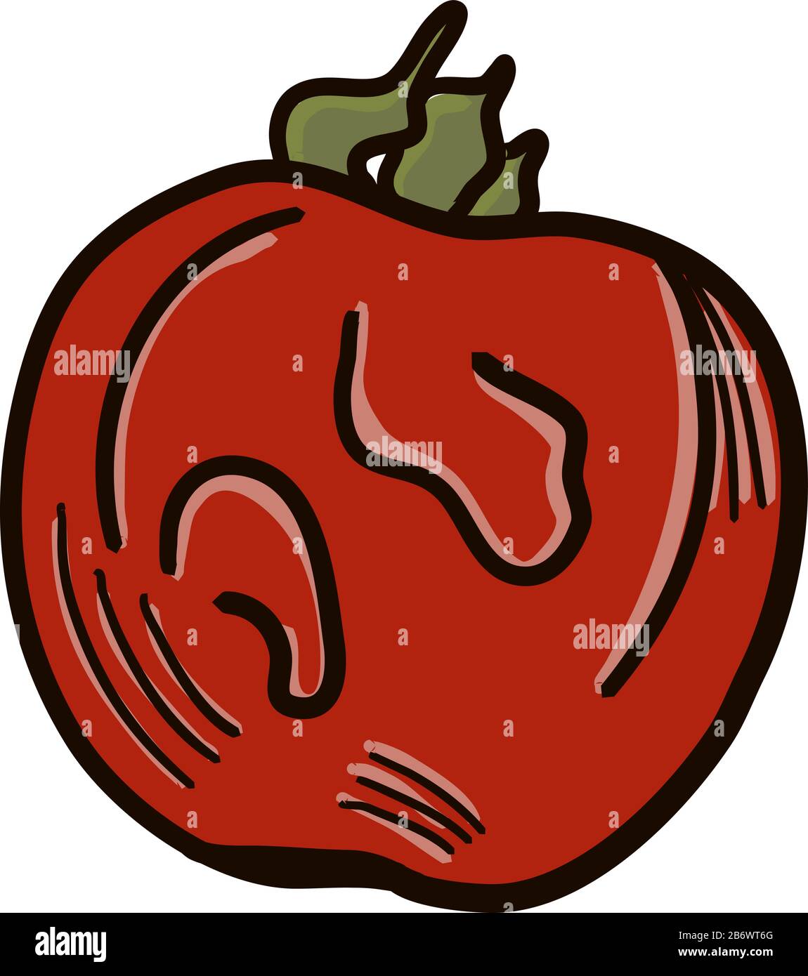 Tomato stylized line, illustration, vector on white background Stock ...