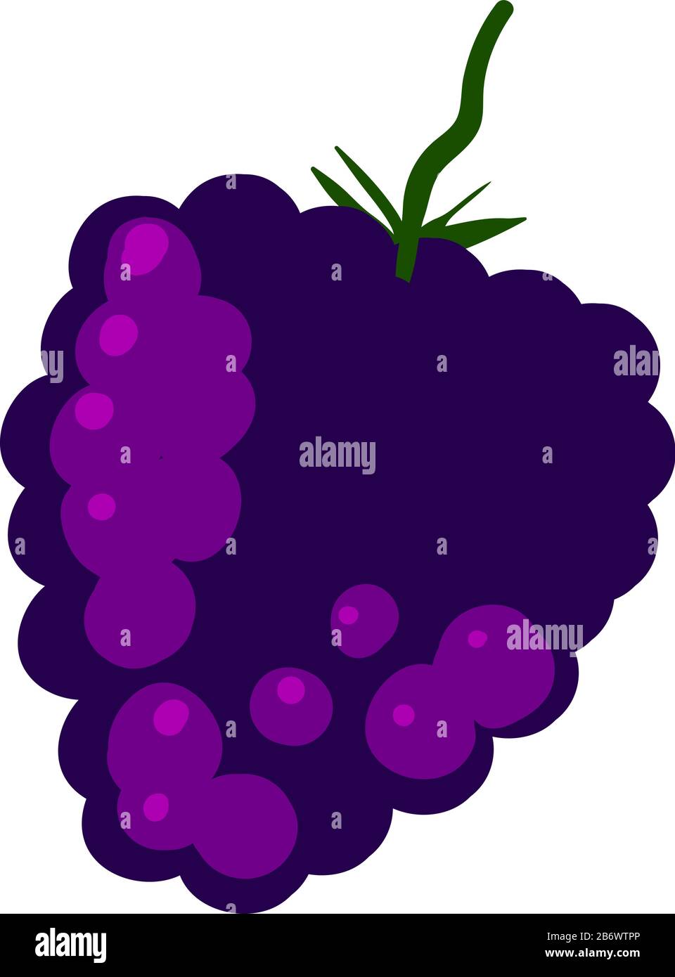 Mulberry vector Cut Out Stock Images & Pictures - Alamy
