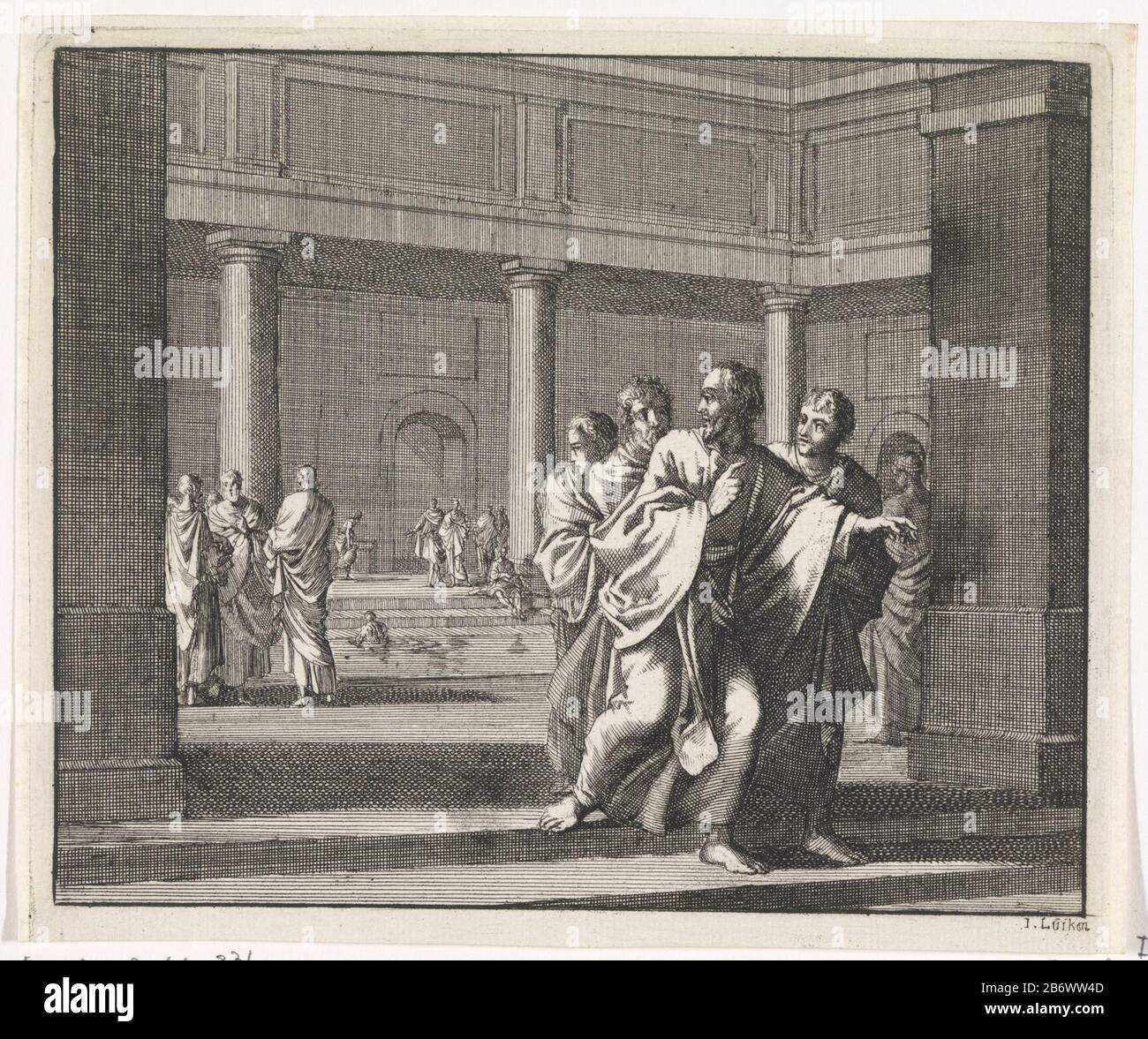 Heretic cerinthus hi-res stock photography and images - Alamy