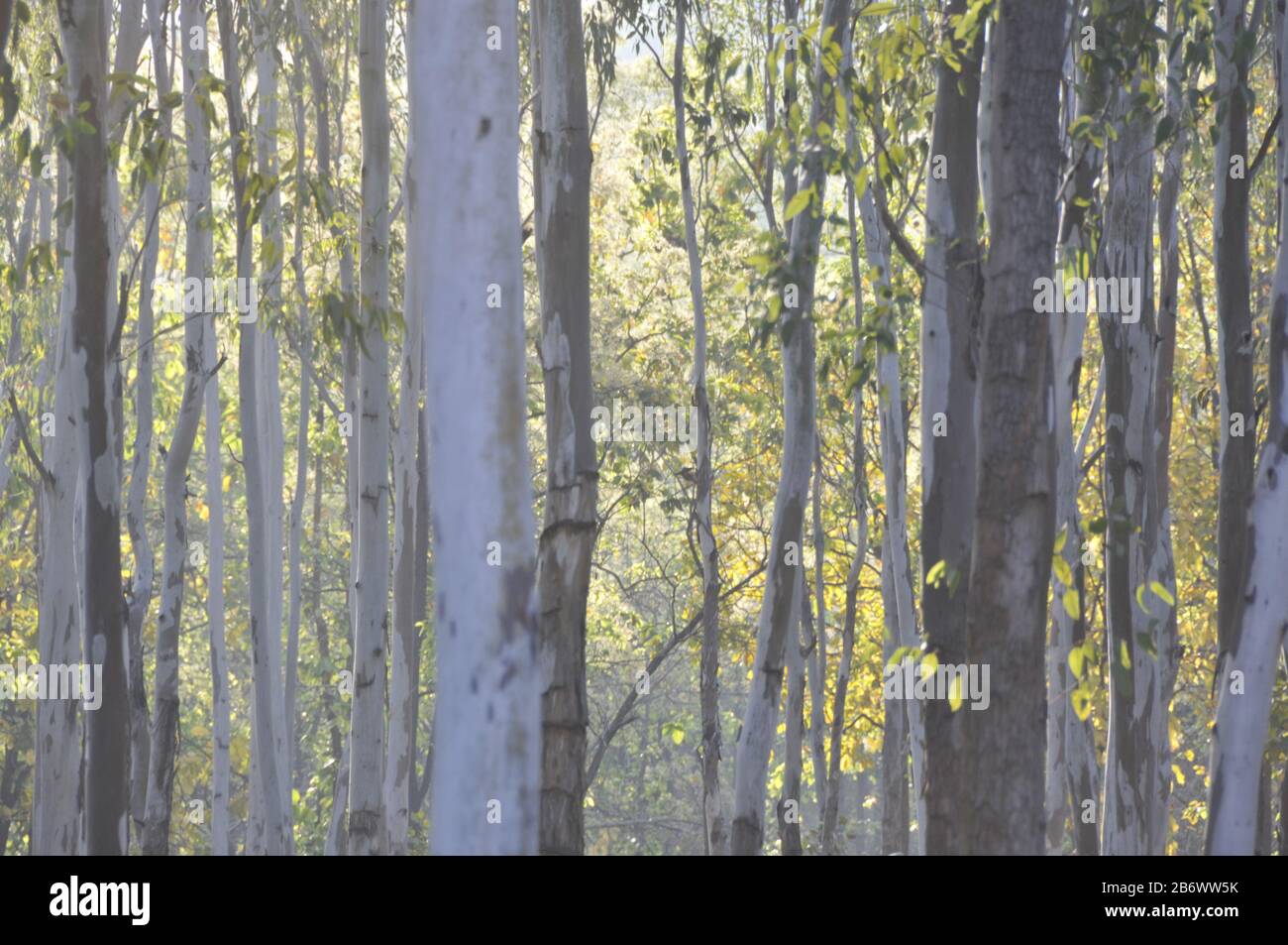 Abstract photography hi-res stock photography and images - Alamy