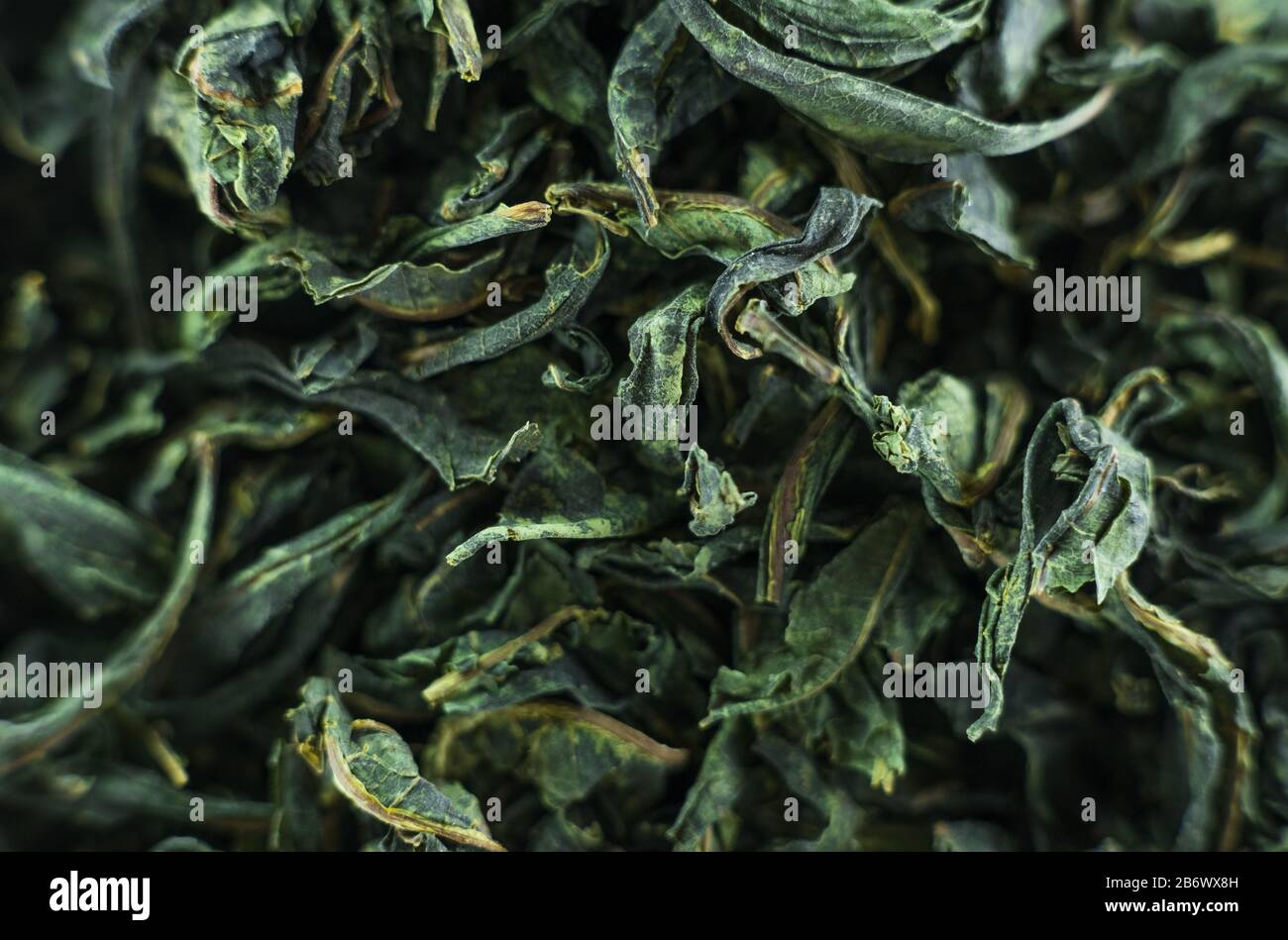 Dried green tea leaves hi-res stock photography and images - Alamy