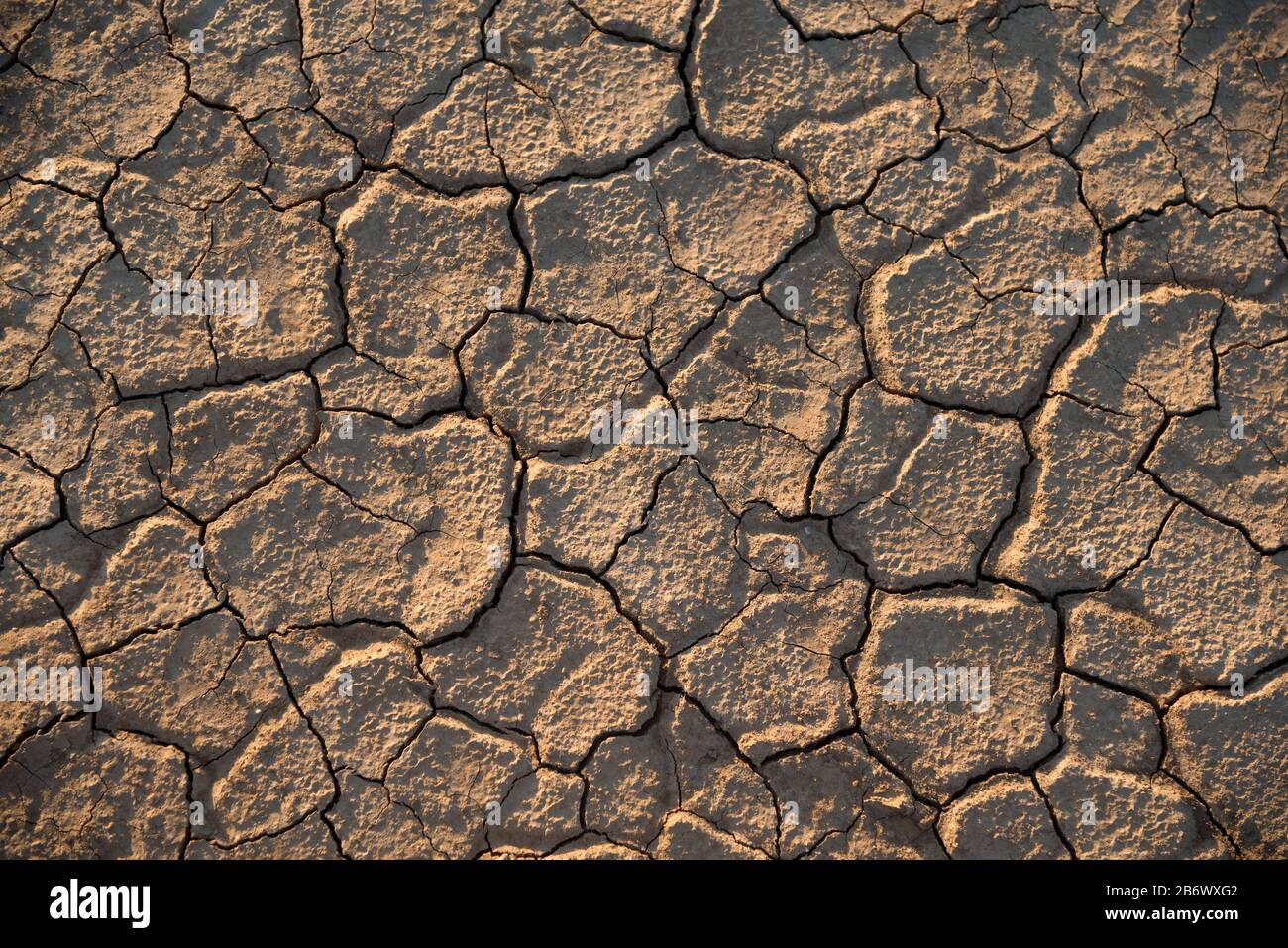 Chapped ground is after-effect of a drought. It's a problem Stock Photo ...
