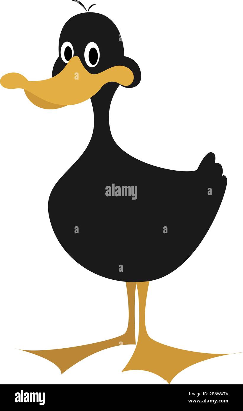 Black duck, illustration, vector on white background Stock Vector Image ...