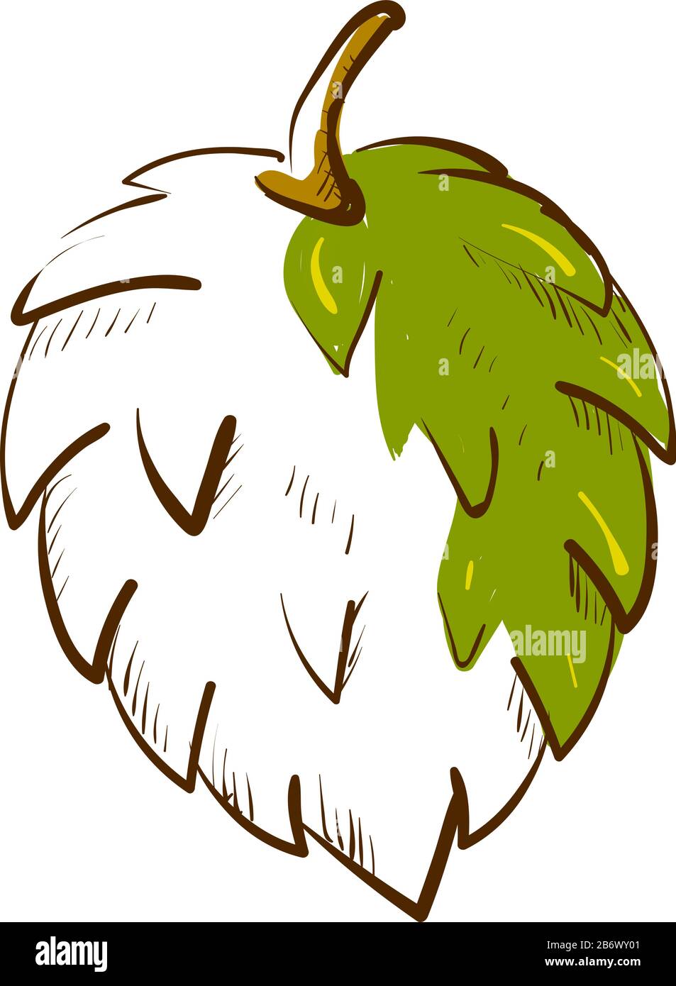 Soursop academical drawing, illustration, vector on white background ...