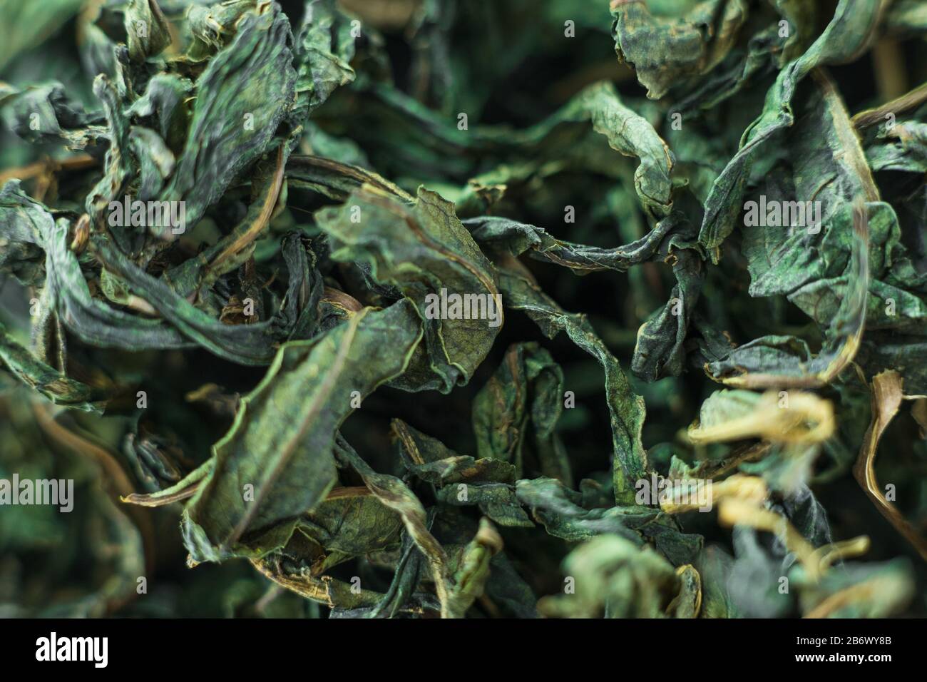 Close-up - collection of dried green tea leaves Stock Photo - Alamy