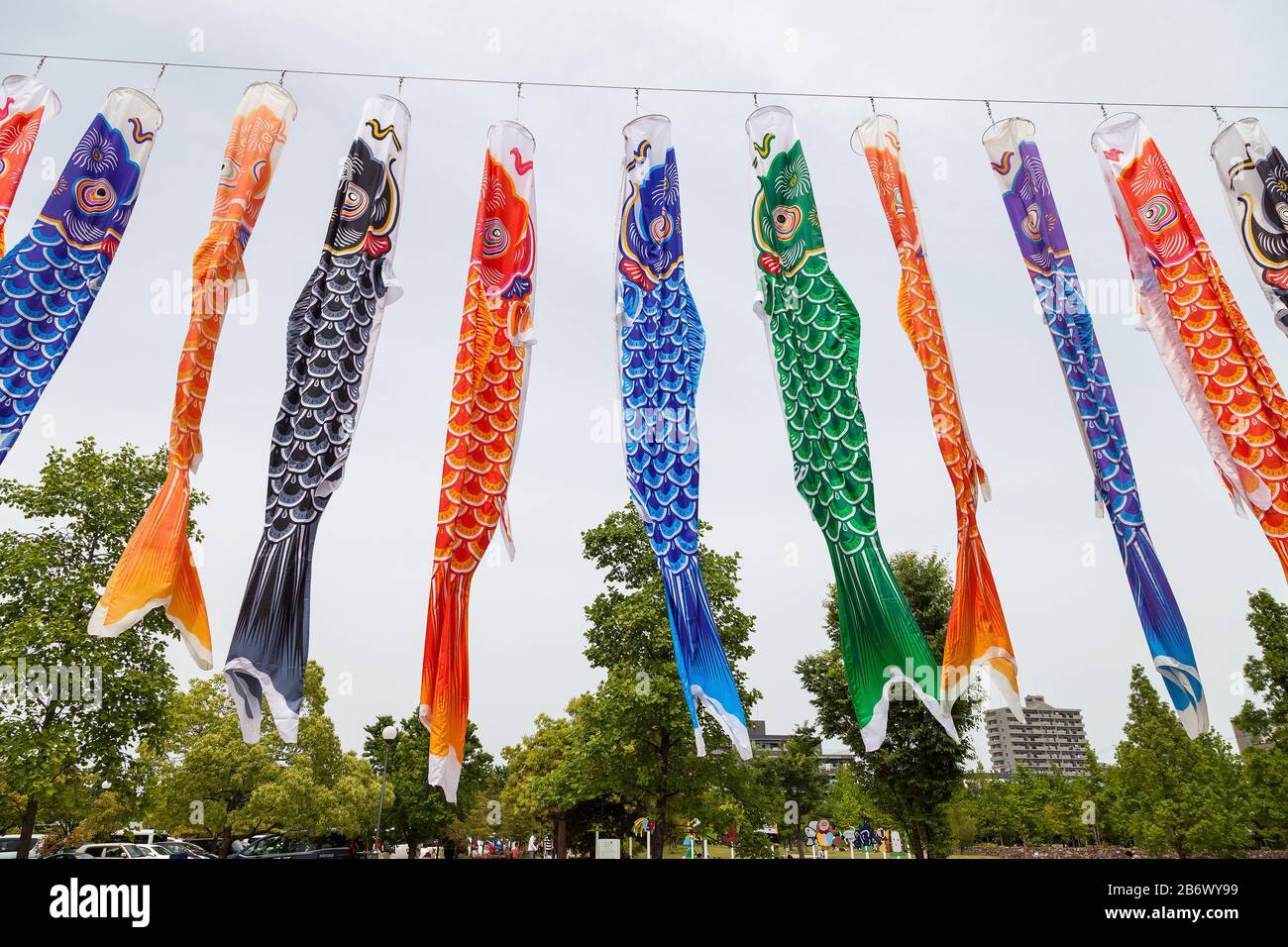 Japanese koinobori flags for Children's day on blue sky background ...