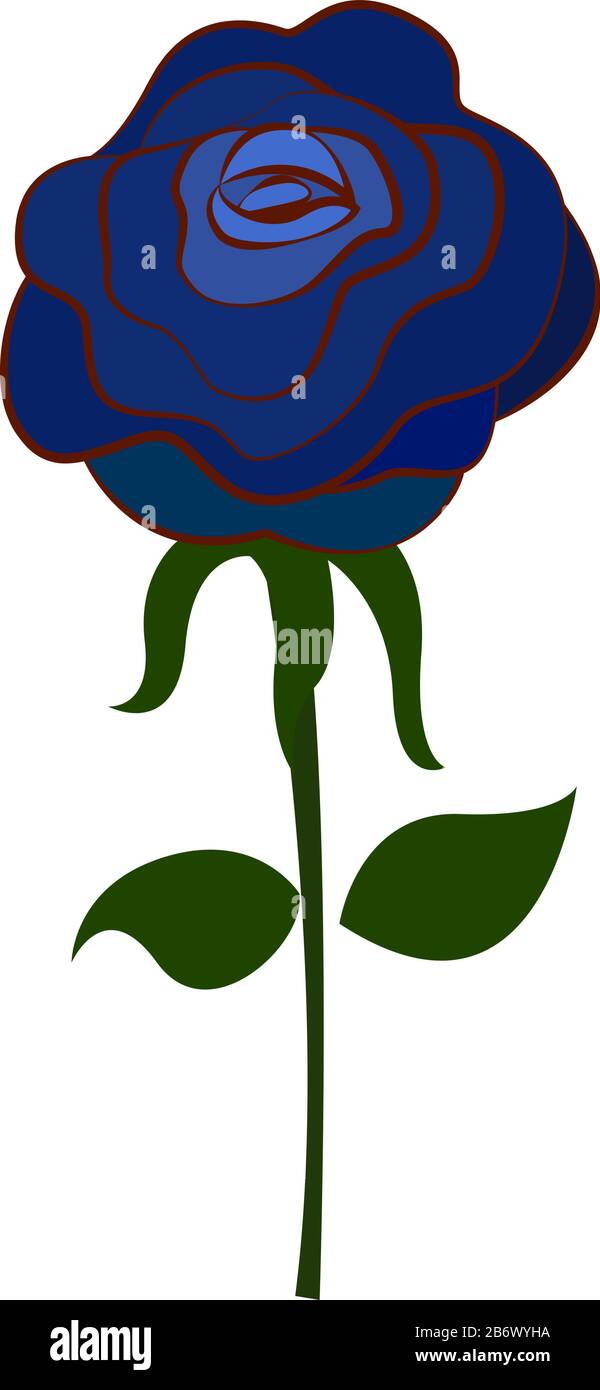 Blue rose, illustration, vector on white background Stock Vector Image ...