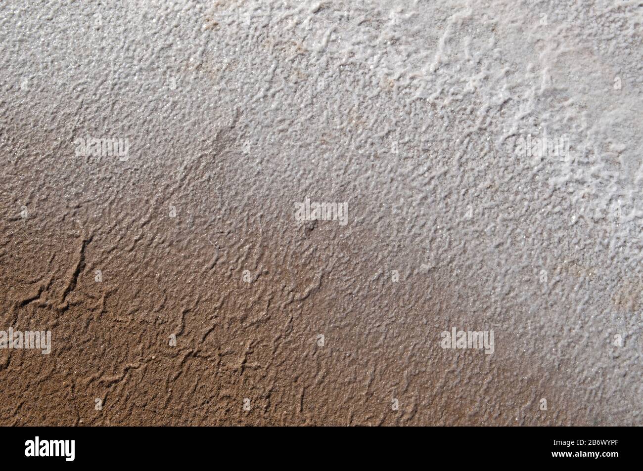 This is a desert background. Salt crystals bloom to the ground surface ...