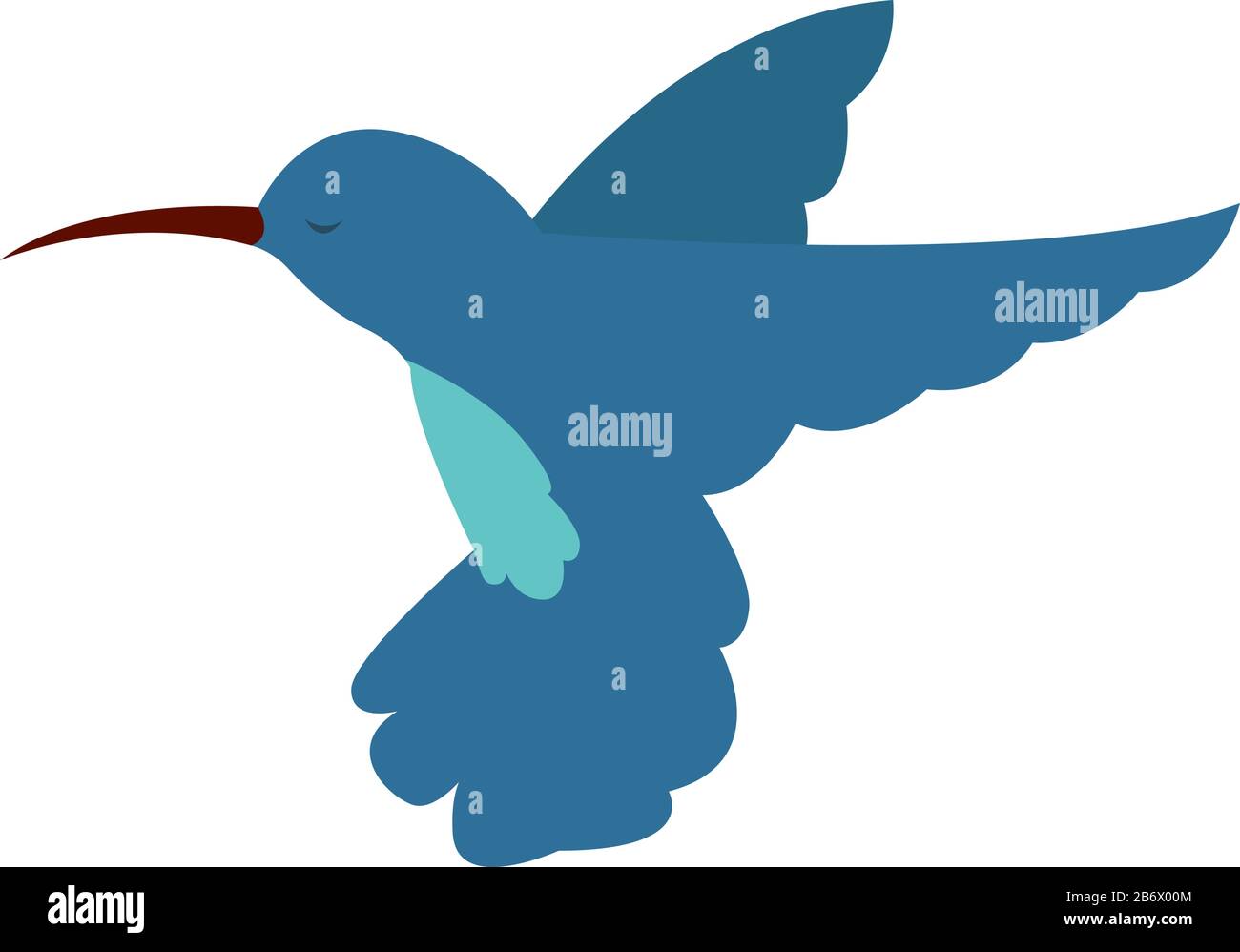Blue hummingbird, illustration, vector on white background Stock Vector ...