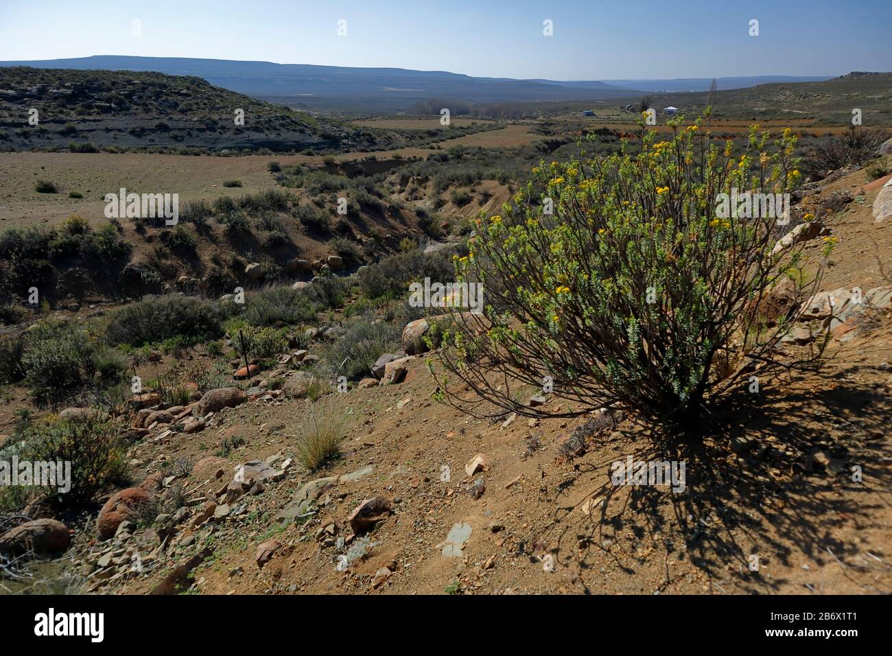 Sutherland town south africa hi-res stock photography and images - Alamy