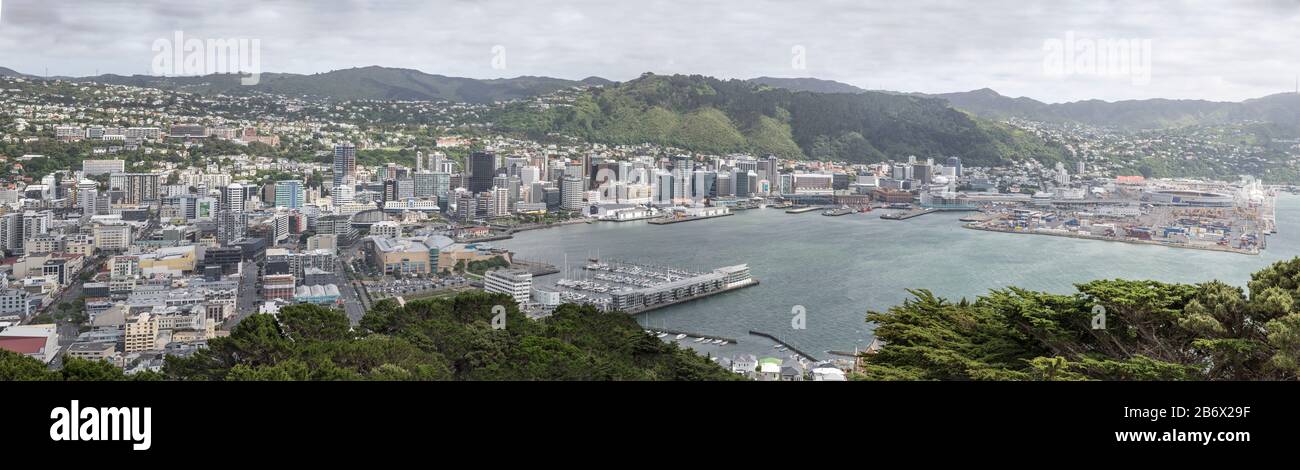 WELLINGTON, NEW ZEALAND - November 13 2019: aerial cityscape with ...