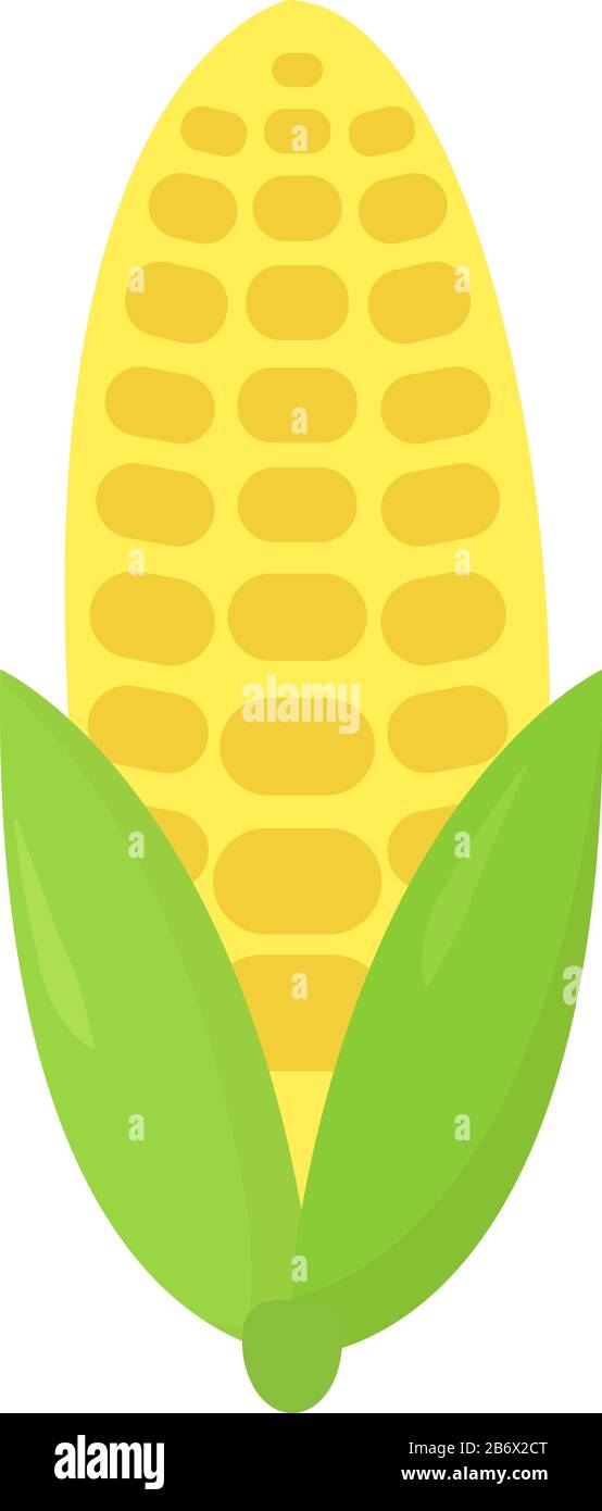 Yellow corn, illustration, vector on white background Stock Vector ...