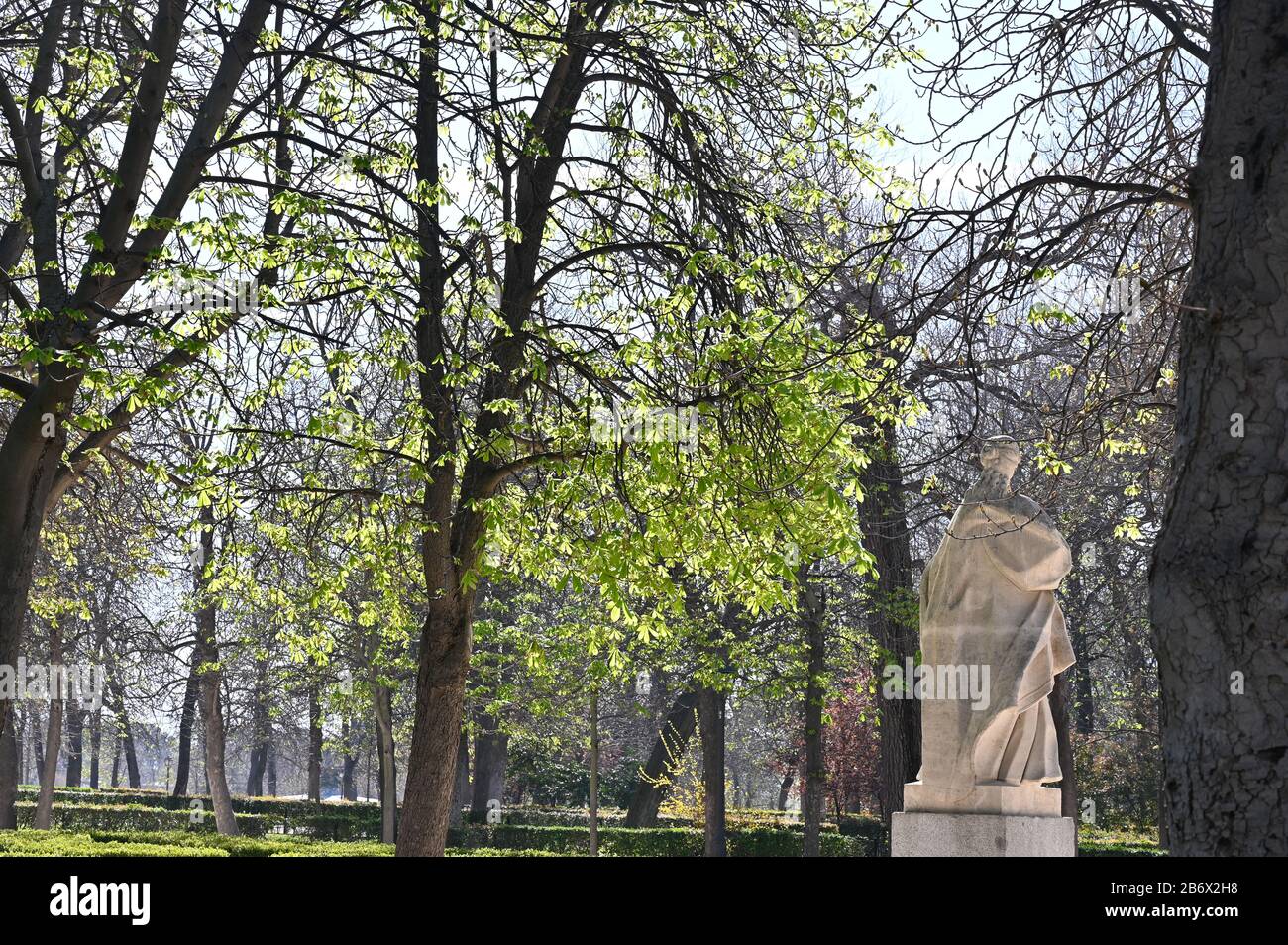 Trees and plants anticipate the arrival of spring in Madrid's public ...