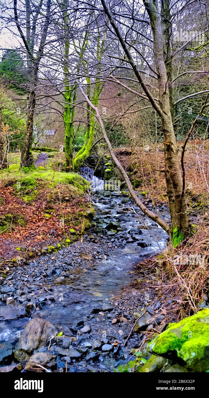 Lush moss covered rock hi-res stock photography and images - Alamy