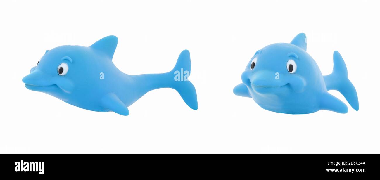Smiling dolphin toy made of rubber. Side view and front view. Isolated ...