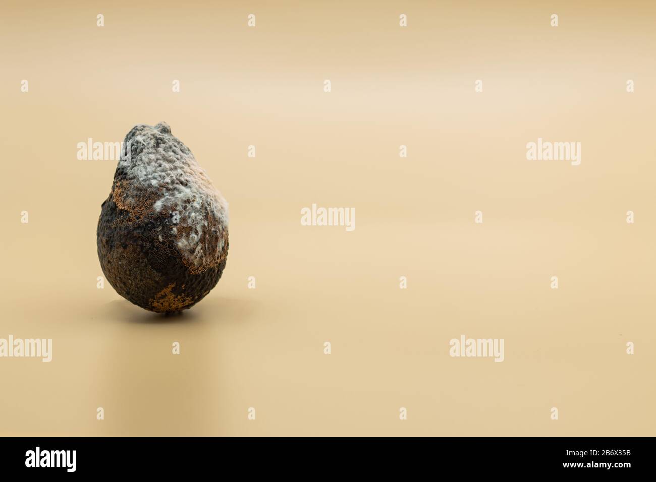 Image of a rotten avocado with mold on pale yellow background. Food ...