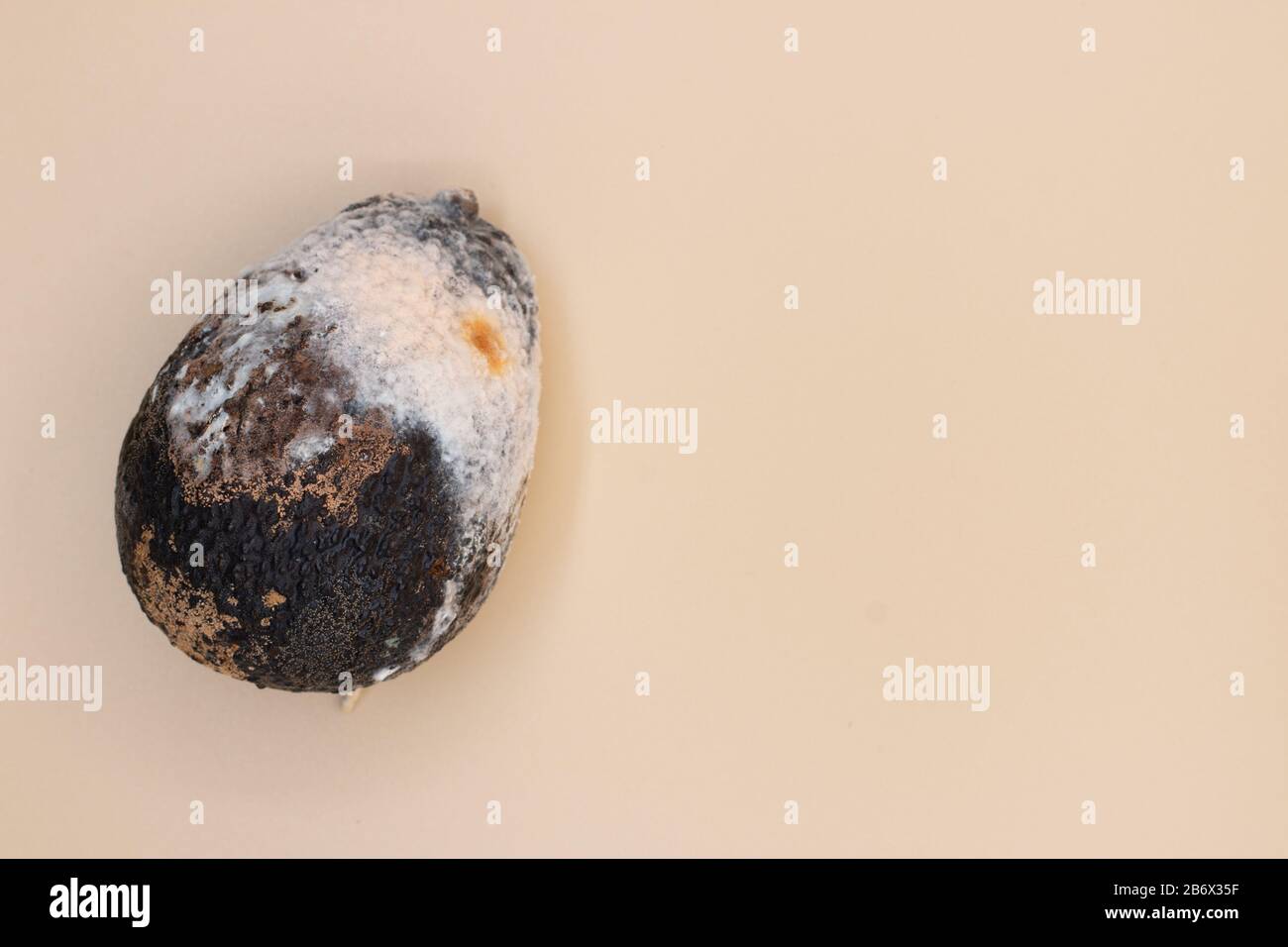 Close-up image from top of a rotten avocado with mold on pale yellow ...