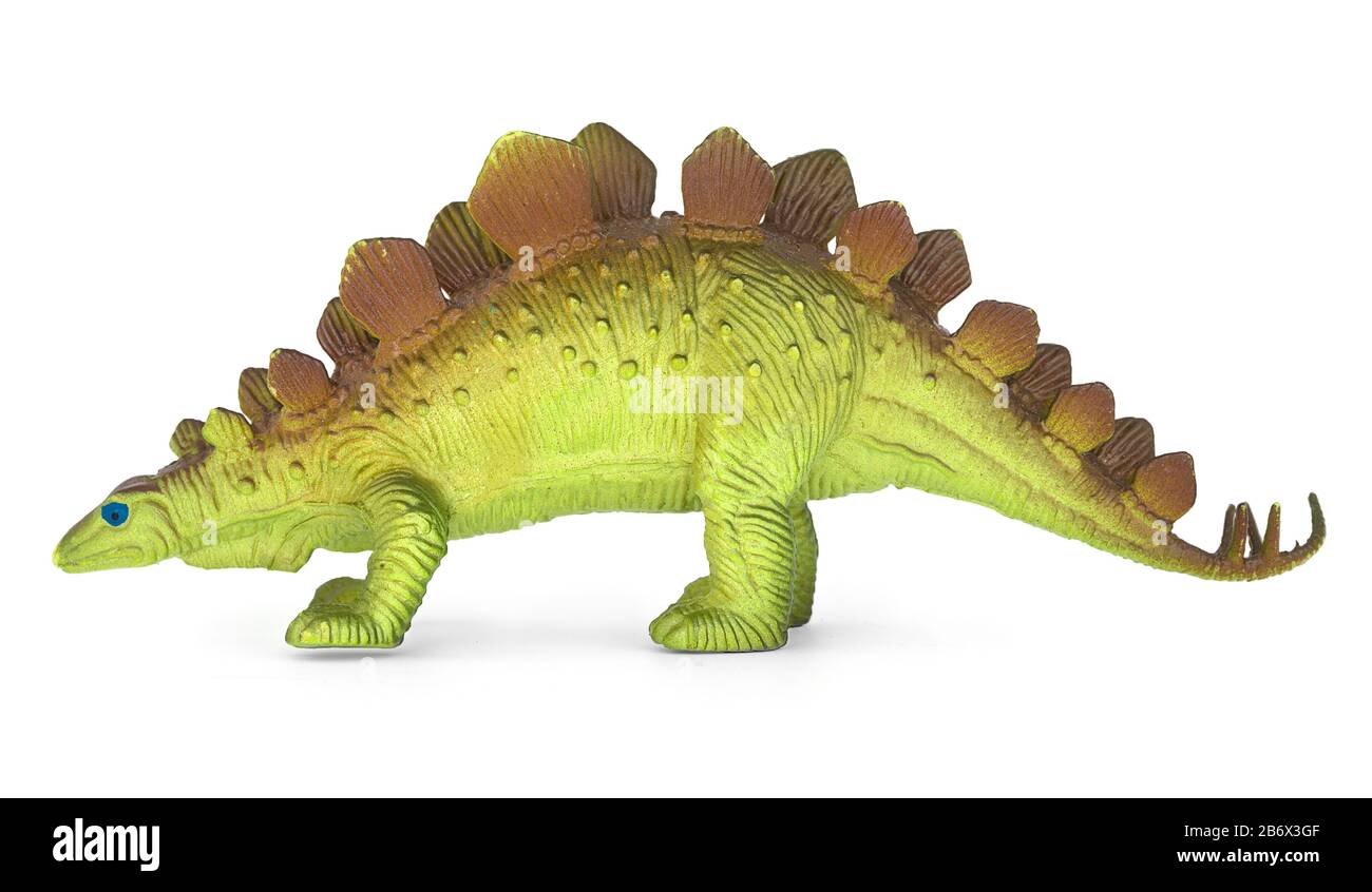 Stegosaurus. Plastic Barbed dinosaur toy. Isolated on white background ...