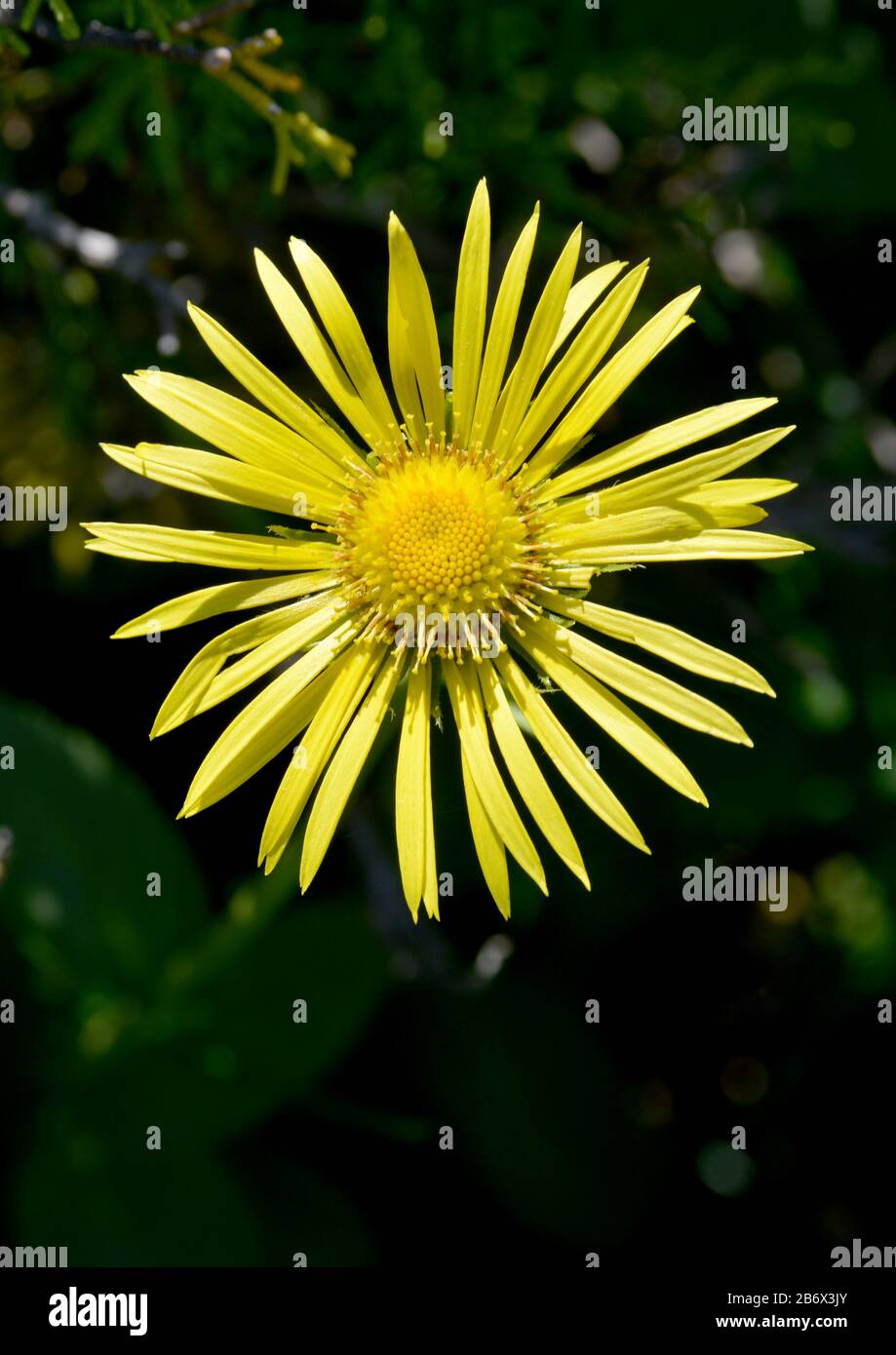 Elf dock hi-res stock photography and images - Alamy