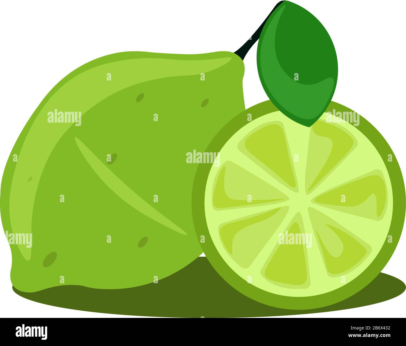 Green lime, illustration, vector on white background Stock Vector Image ...