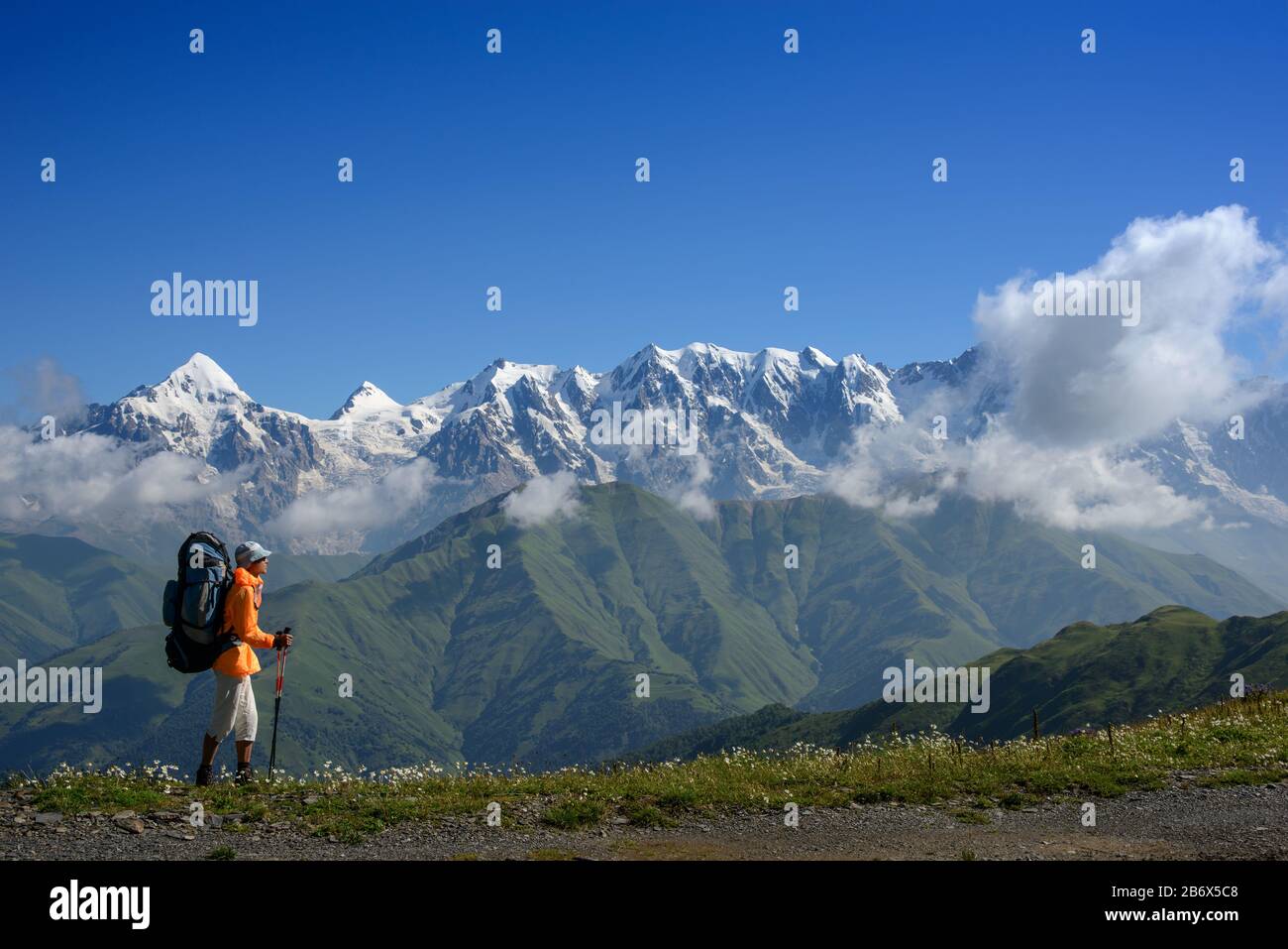 Alpine meado hi-res stock photography and images - Alamy