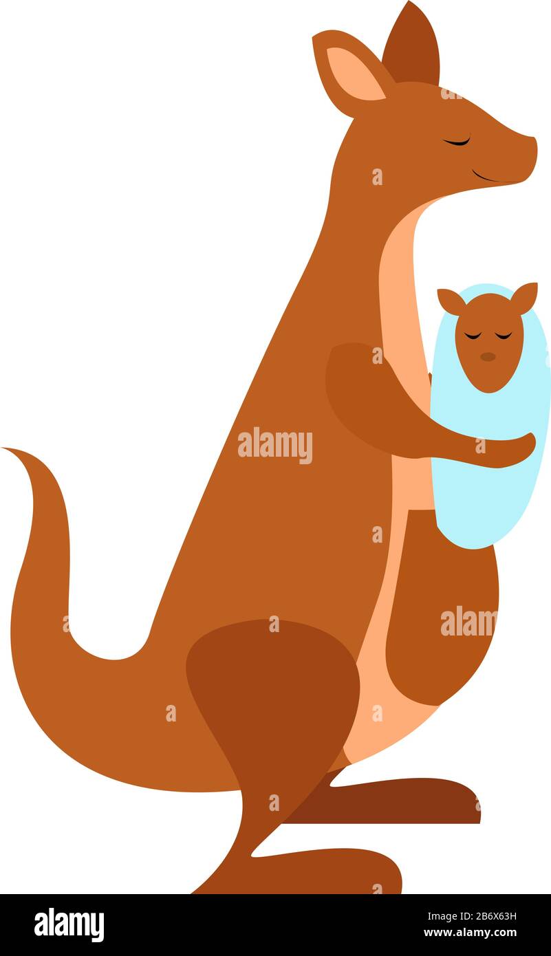 Mother kangaroo, illustration, vector on white background Stock Vector ...