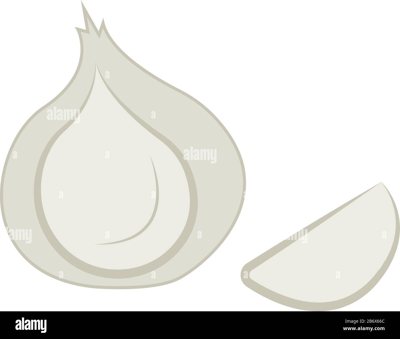 Agriculture fresh garlic on Stock Vector Images - Alamy
