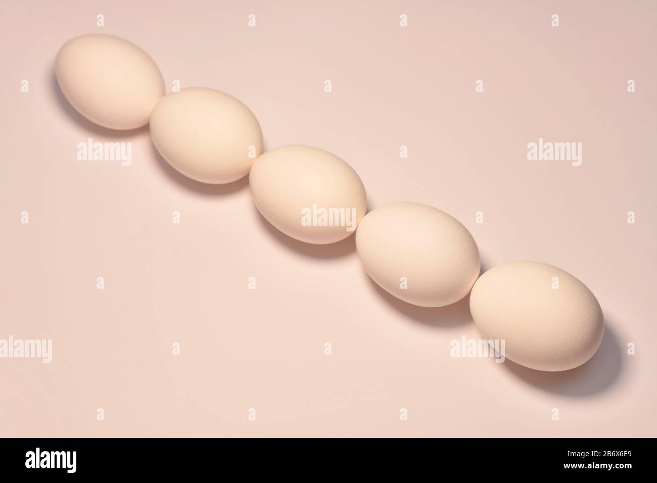 A diagonal line of oval chicken eggs lined up by a chain in a bed pink ...