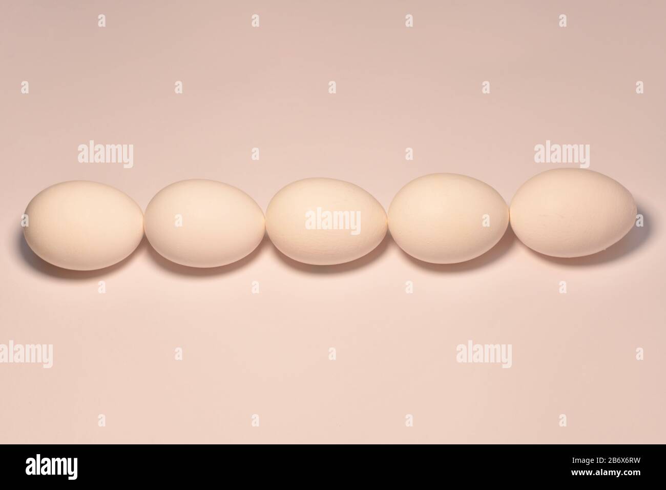 A horizontal line in the center of oval chicken eggs lined up by a ...