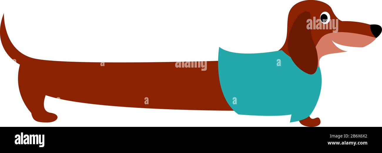 Long dog, illustration, vector on white background Stock Vector Image ...