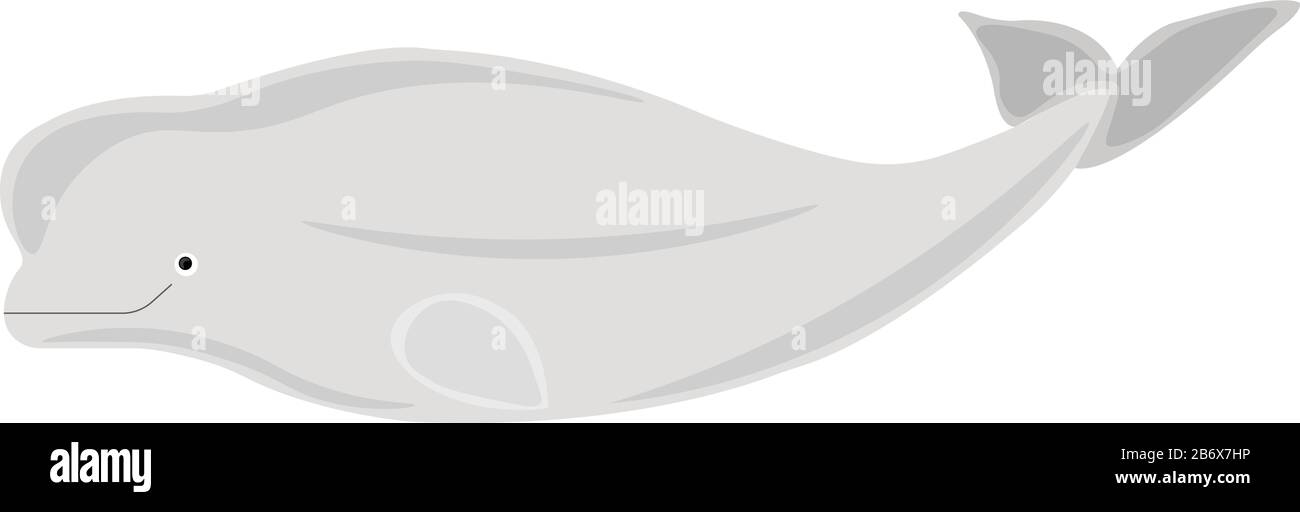 Gray dolphin, illustration, vector on white background Stock Vector ...