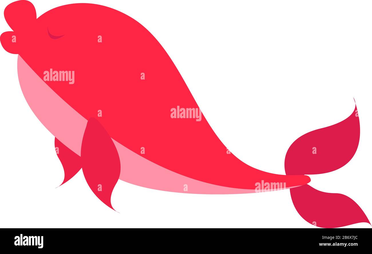 Pink fish, illustration, vector on white background Stock Vector Image ...